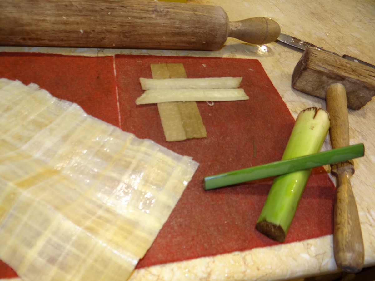 Real Papyrus Paintings or Fake? We find out! | Exploramum