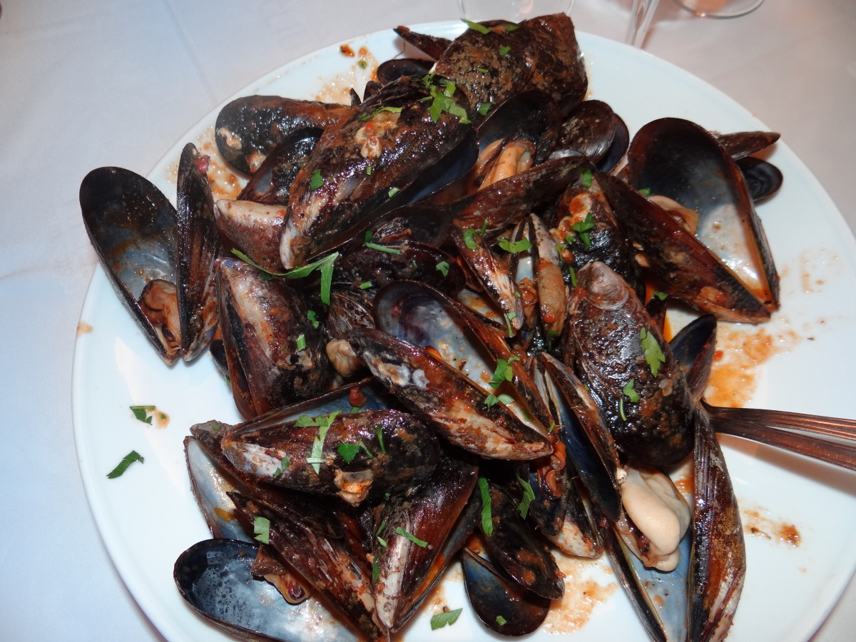 Adventure and Activities In Costa Brava | Exploramum