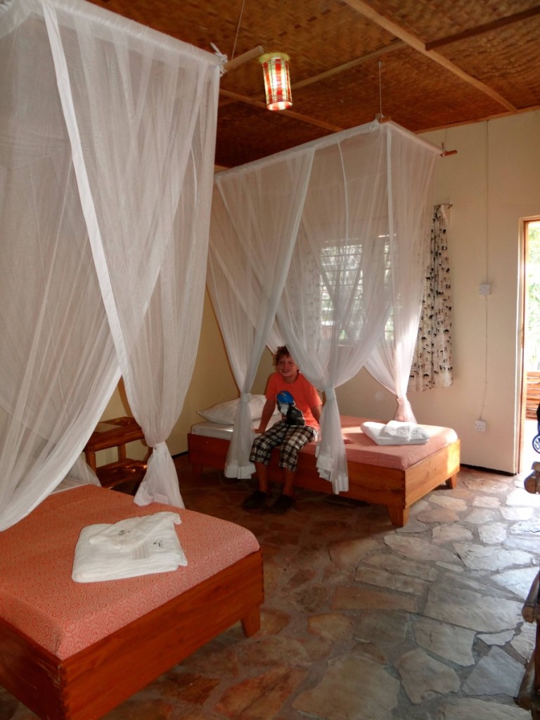 Super Sensational Simba Safari - Uganda Africa - Exploramum & Explorason