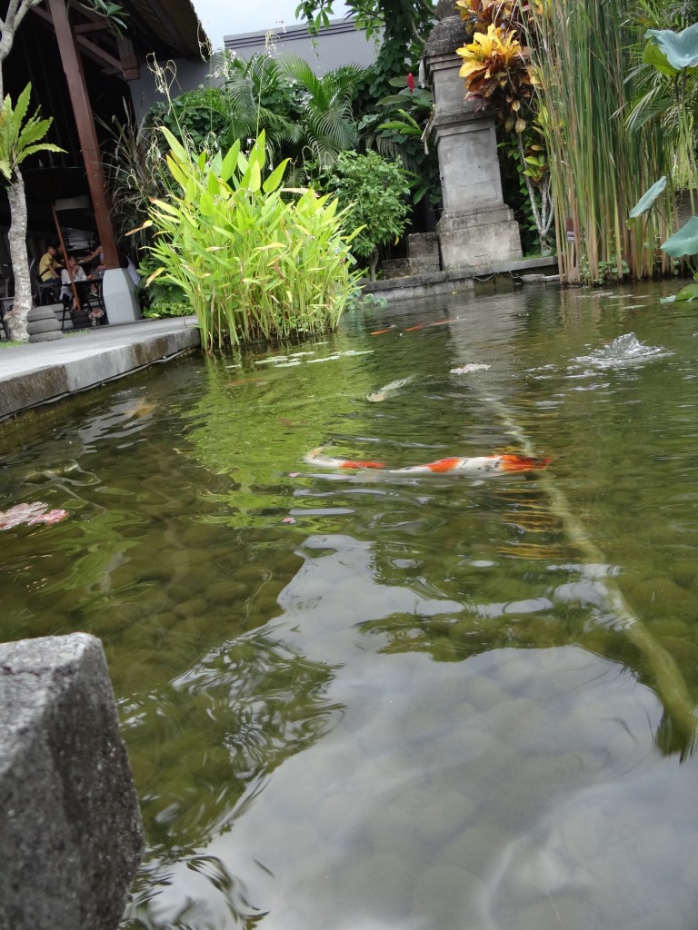 Relax Overlooking the Rice Fields At Alaya Ubud | Exploramum